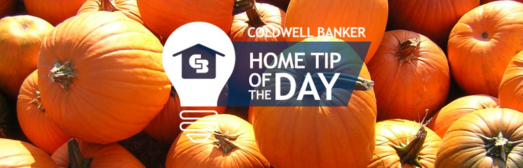 Home Tip of the Day: A Pumpkin Cooler