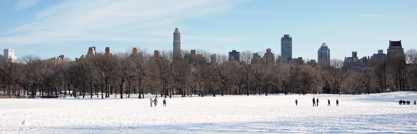 The Best Ways to Spend Snow Days in NYC! | New York City | Coldwell ...