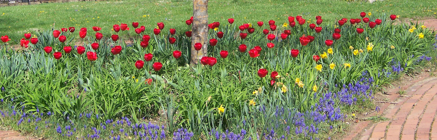 Spring Cleaning Tips to Spruce Up Your Home | Philadelphia | Coldwell ...