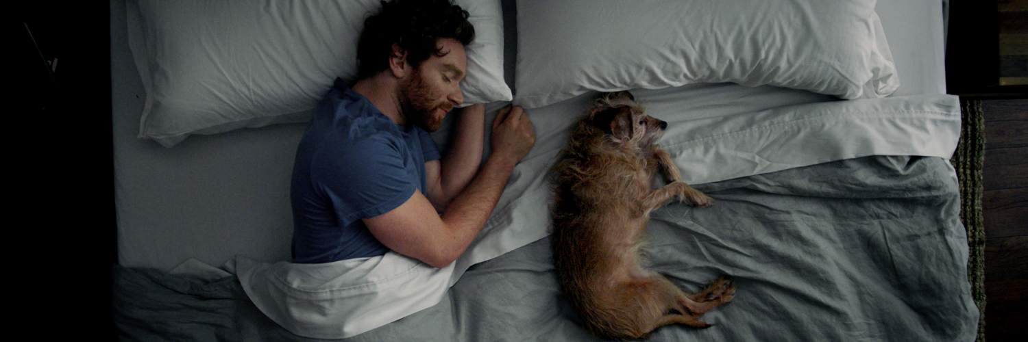 A Homes for Dogs Project on NBC Open House