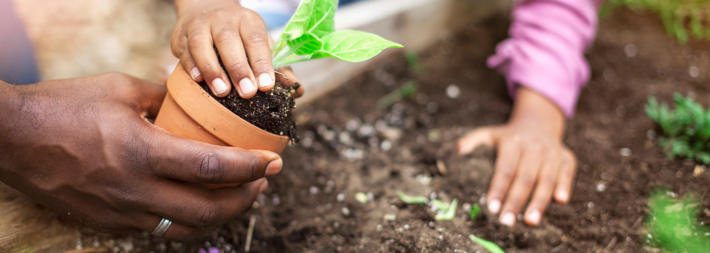 5 Ways to Celebrate Earth Day