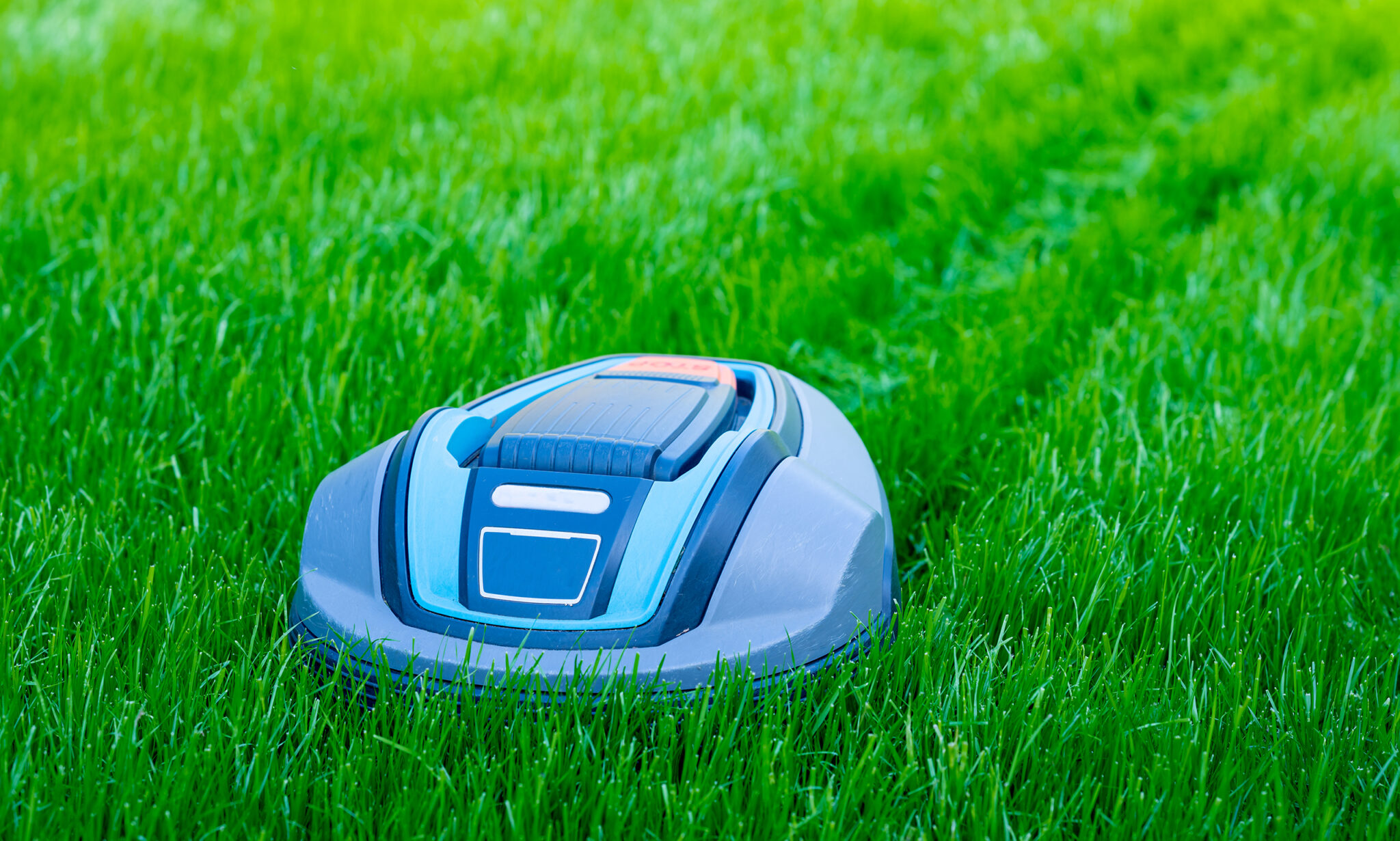 Coldwell Banker Blue Matter - Page 3 of 782 - The part of the brain ...